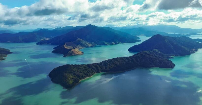 From Nelson: Marlborough Sounds Scenic Helicopter Flight - Who Will Love This Tour?