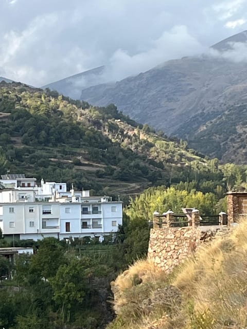 From Nerja/Almunecar: Sierra Nevada and Alpujarra day trip - Exploring the Heart of Andalusia: A Deep Dive into the Tour