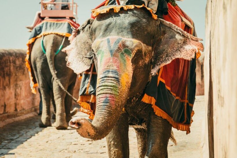 From New Delhi : Delhi Agra Jaipur 3 Days Tour - Final Thoughts
