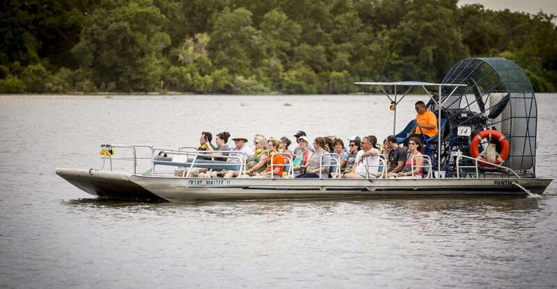From New Orleans: Airboat Adventure Tour with Transportation - Authentic Wildlife Encounters and Photography