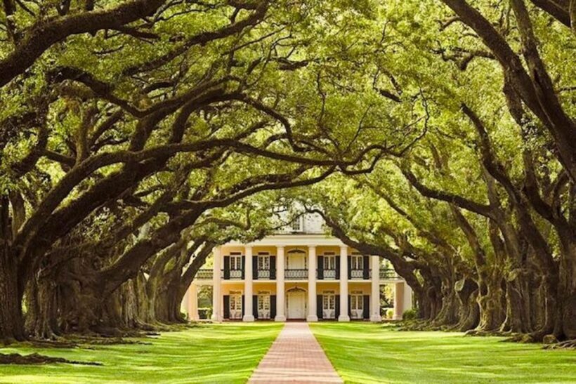 From New Orleans: Oak Alley or Laura Plantation Tour - Detailed Tour Breakdown