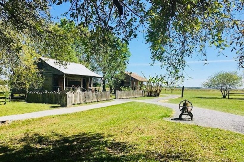 From New Orleans: Oak Alley or Laura Plantation Tour - Who Will Love This Tour