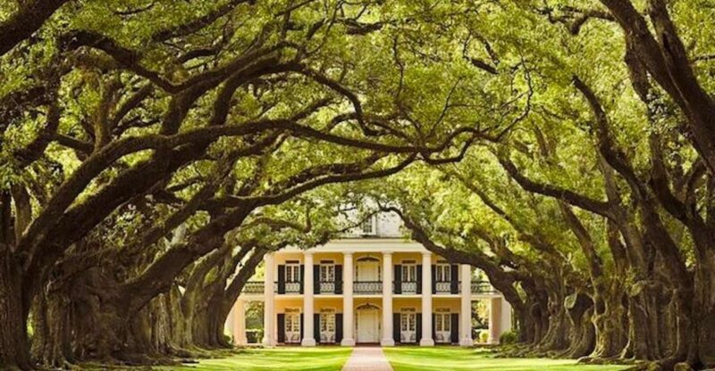 From New Orleans: Oak Alley or Laura Plantation Tour - What to Expect on the Tour