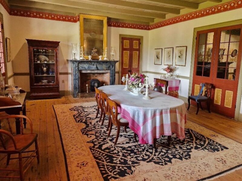 From New Orleans: Oak Alley or Laura Plantation Tour - What the Reviews Say