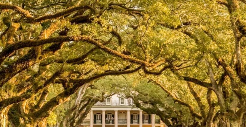 From New Orleans: Oak Alley Plantation Tour - Authentic Experiences and Highlights from Reviews