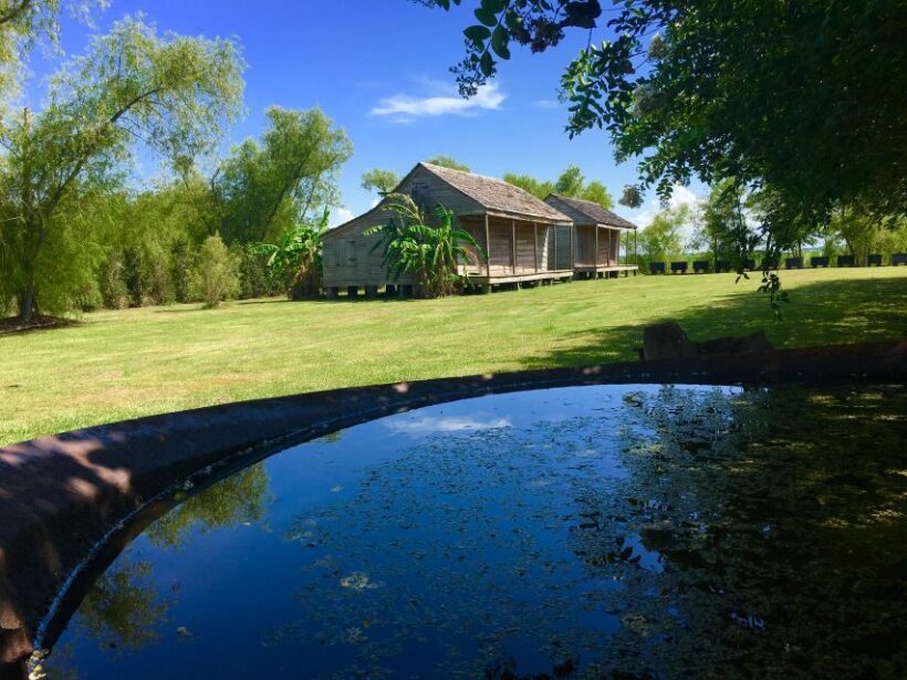 From New Orleans: Whitney and Laura Guided Plantation Tour - The Sum Up