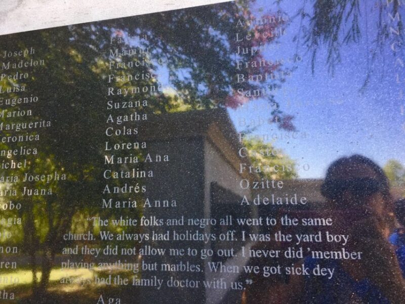 From New Orleans: Whitney and Laura Guided Plantation Tour - Who Will Love This Tour?