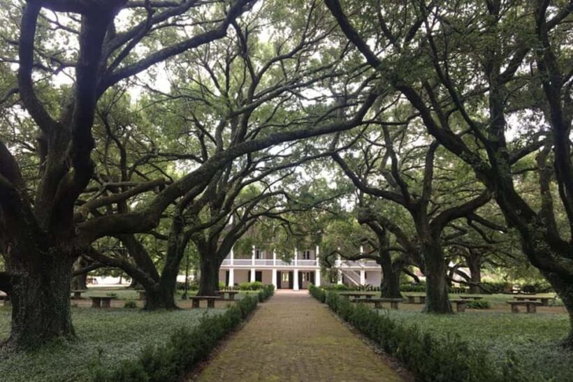 From New Orleans: Whitney Plantation and Airboat Tour Combo - Key Points
