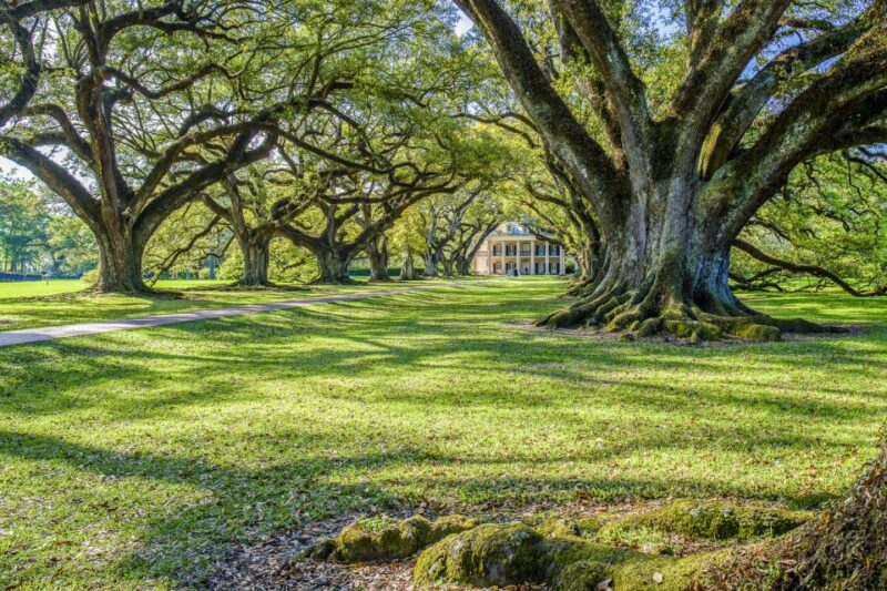 From New Orleans: Whitney Plantation Ticket & Transportation - Key Points