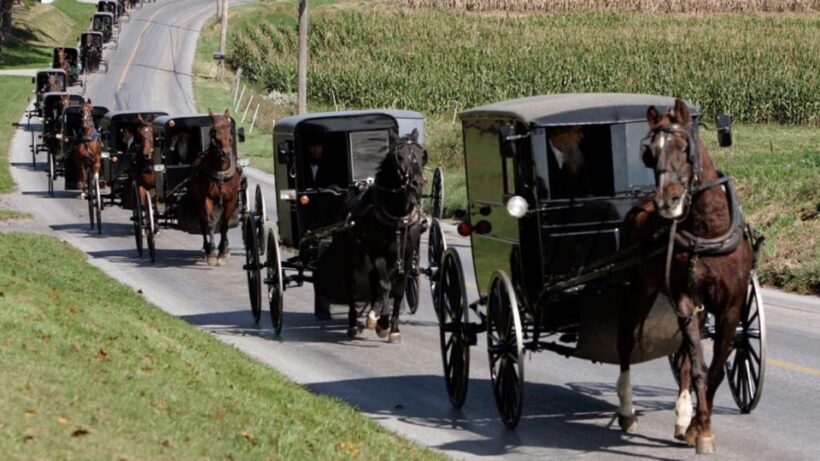 From New York City: Philadelphia & Amish Community Day Trip - Exploring Philadelphia: A City of Firsts and Famous Films
