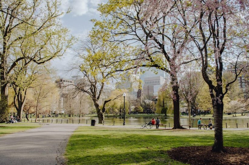 From New York: Niagara Falls and Washington DC 3-Day Trip - The Pros and Cons