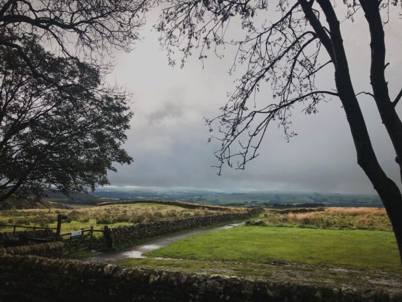 From Newcastle: Hadrian's Wall Day Tour - Key Points