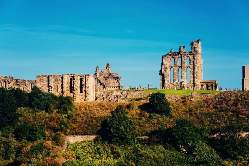 From Newcastle to Veras World: A Private Coastal Tour - Final thoughts