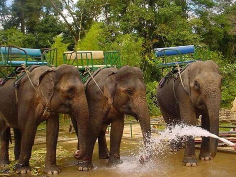 From Nha Trang : 1-Day Da Lat Tour - Who Is This Tour Best For?