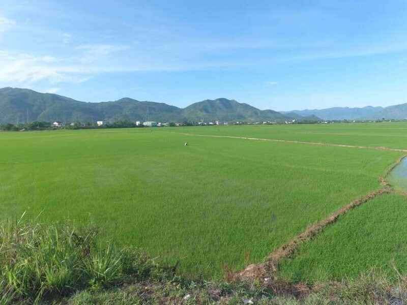 From Nha Trang: 3-Days Da Lat Tour with Hotel Pickup - FAQ