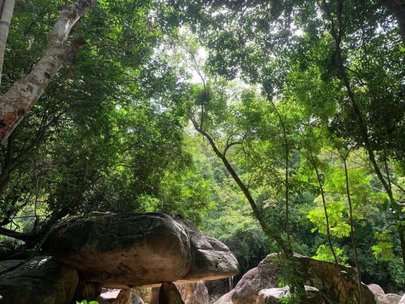 From Nha Trang: Ba Ho Waterfall and Countryside Tour - The Itinerary in Detail