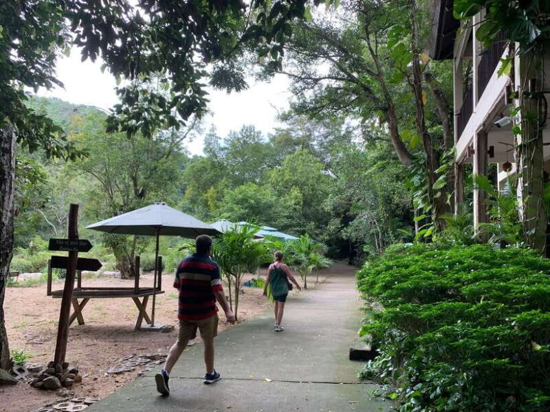 From Nha Trang: Ba Ho Waterfall and Countryside Tour - The Sum Up