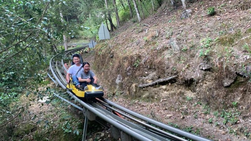 From Nha Trang: Day Trip to Dalat with Datanla Waterfall - The Value of the Experience