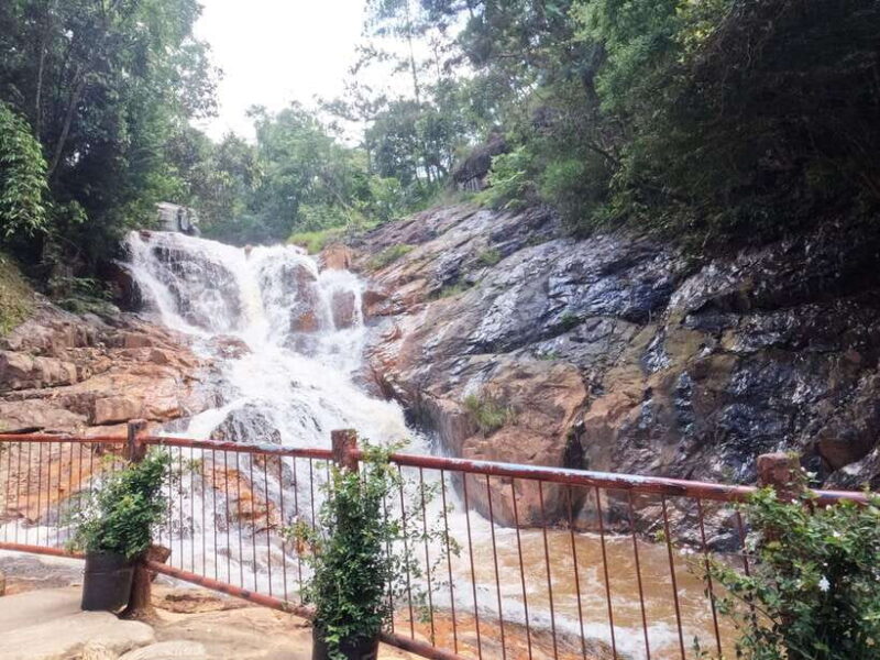 From Nha Trang: Day Trip to DaLat with Lunch - How the Experience Feels in Practice