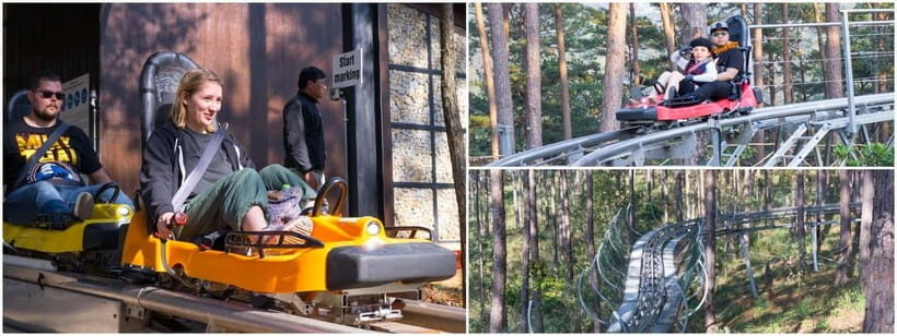 From Nha Trang: Extreme Zipline & Canyoning in Da Lat - The Itinerary in Detail