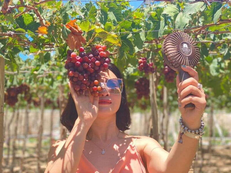 From Nha Trang: Phan Rang Tanyoli Sand Dunes Day Trip - Cultural Stops: Cham Tower and Vineyard