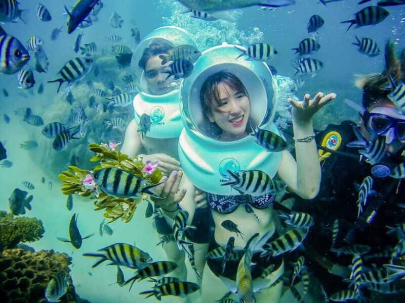 From Nha Trang: Sea Walking Explore Coral Reef- Daily Tour - FAQ