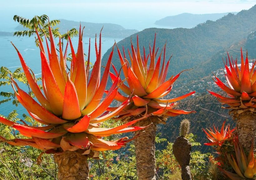 From Nice: Eze, Monaco, and Monte Carlo Half-Day Trip - FAQ