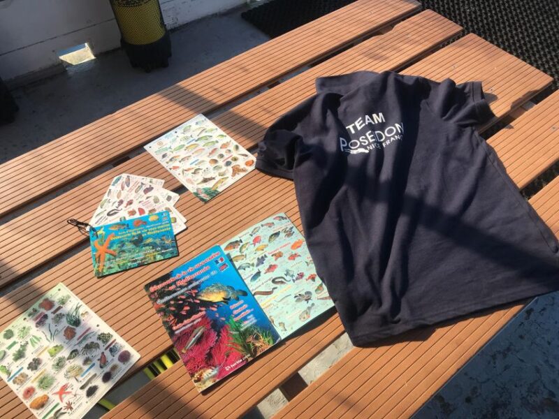 From Nice: French Riviera Swimming and Snorkeling Cruise - Key Points