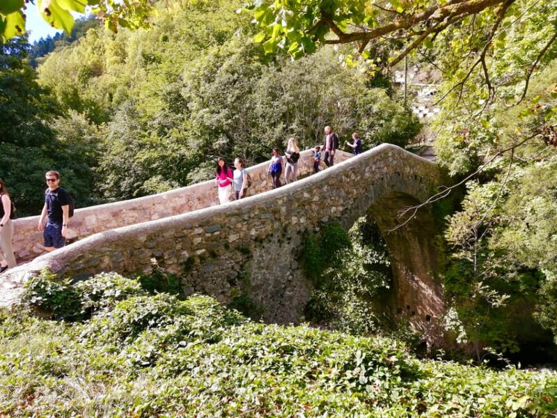 From Nice: Historic Train Ride & Alps Villages - The Value in the Details