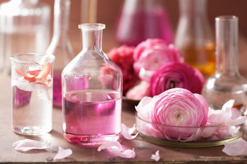 From Nice: Jewels of Provence Full-Day Tour with Transfers - What Past Travelers Say