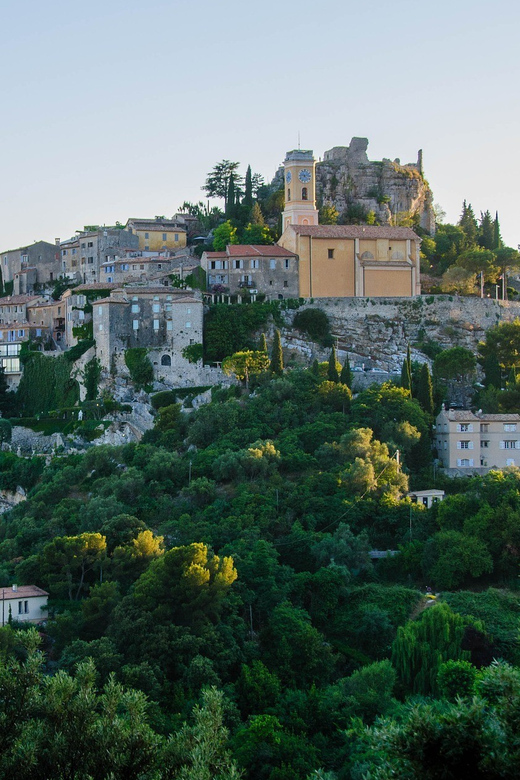 From Nice: Monaco, Monte Carlo & Eze Private Half-Day Tour - What to Keep in Mind