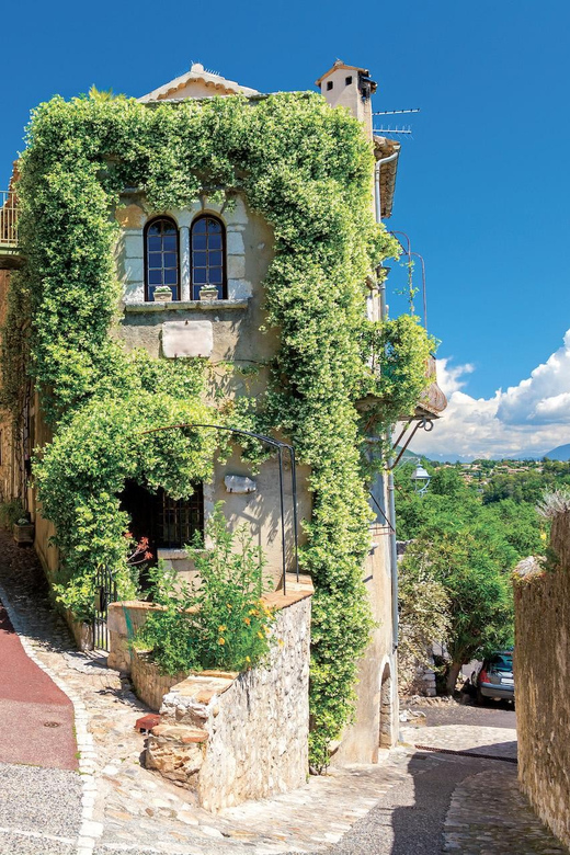 From Nice: Monaco & Provençal villages - What Makes This Tour Stand Out?