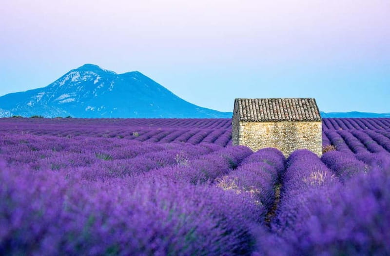 From Nice: Verdon Gorges & Lavender Fields Tour & Transport - Practical Details and Tips