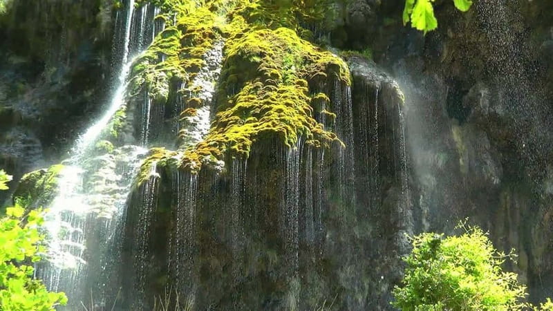 From Nice: Verdon Gorges & Lavender Fields Tour & Transport - Who Would Love This Tour?