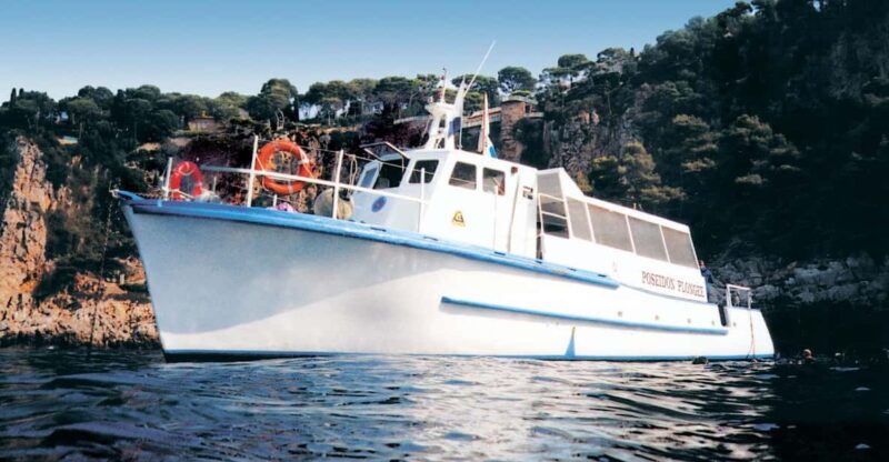 From Nice: Villefranche Bay Swimming & Snorkeling Boat Tour - What’s Included and What’s Not