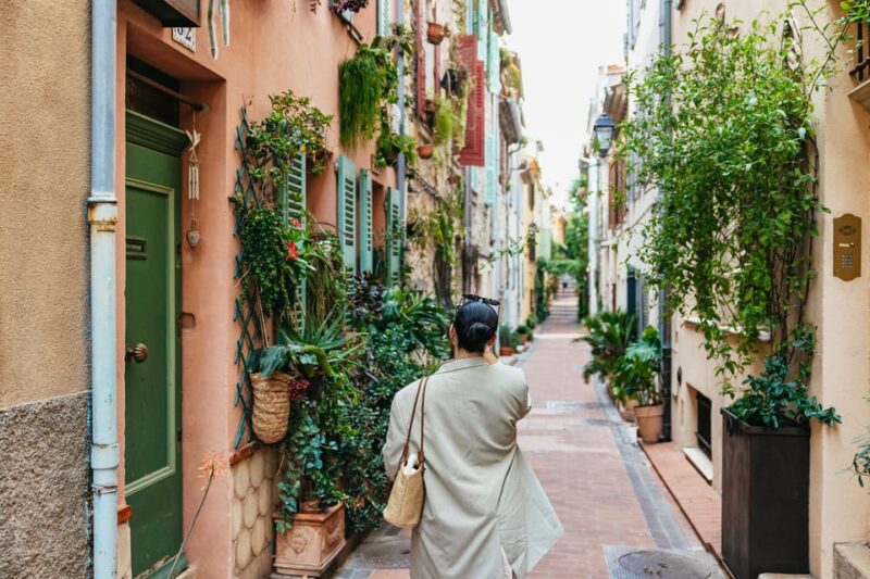 From Nice: Wine Tasting, Cannes, and Countryside Tour - Who Will Love This Tour?