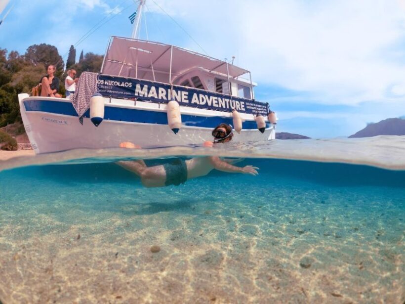 From Nidri: Marine Wildlife Cruise with Lunch and Swim Stops - Who Will Love This Tour?