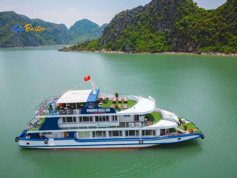 From Ninh Binh: 1 Day Ha Long Bay Luxury Cruise With Buffet - Practical Tips for Travelers