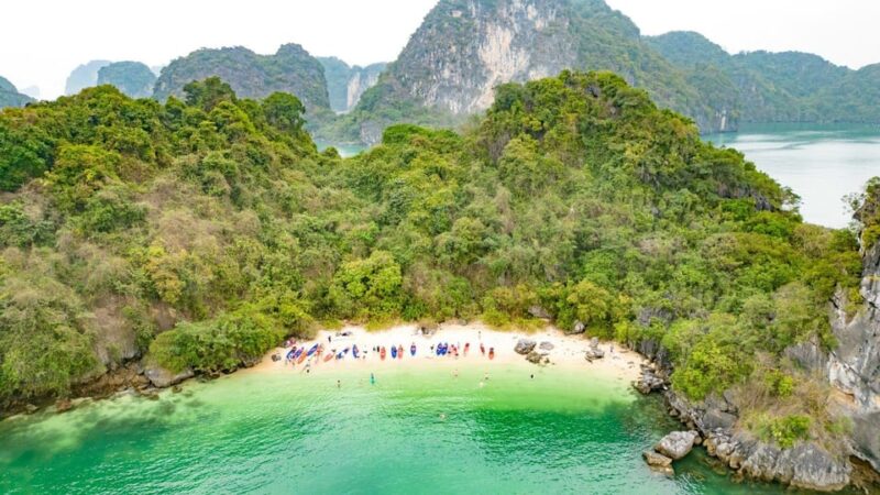 From Ninh Binh : Bai Tu Long Bay Swan Cruise 2-3 Days Trip - Authentic Experiences and Genuine Value