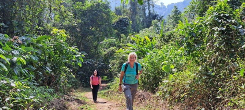 From Ninh Binh: Cuc Phuong National Park 1-Day Small Group - Practical Details and Logistics