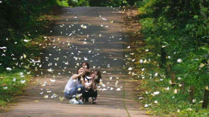 From Ninh Binh: Cuc Phuong National Park 1-Day Small Group - Authentic Experiences and Realistic Expectations