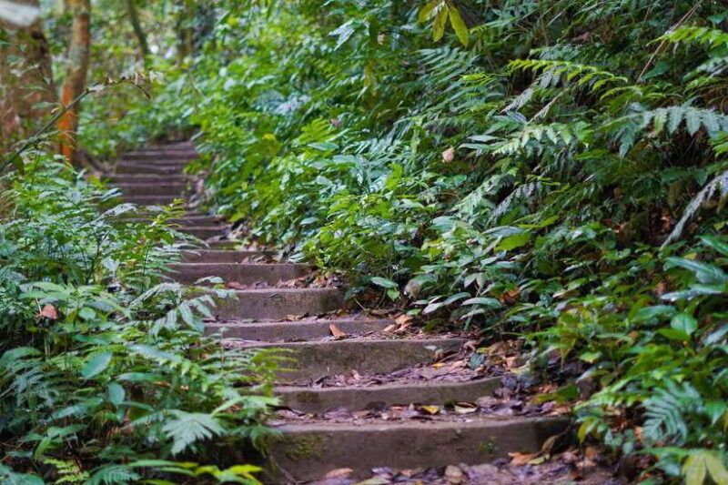 From Ninh Binh: Cuc Phuong National Park 1-Day Small Group - The Sum Up