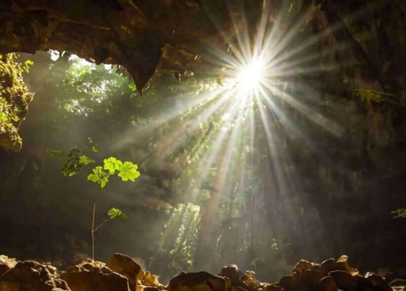 From Ninh Binh: Cuc Phuong National Park Day Trip - Introduction to the Experience