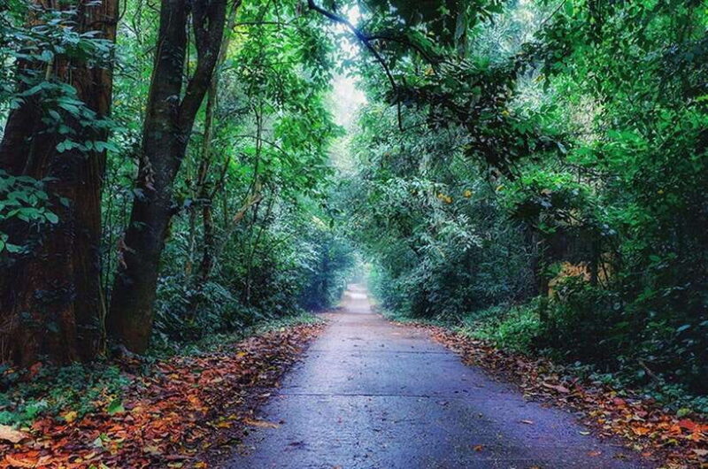 From Ninh Binh: Cuc Phuong National Park Day Trip with Lunch - The Sum Up