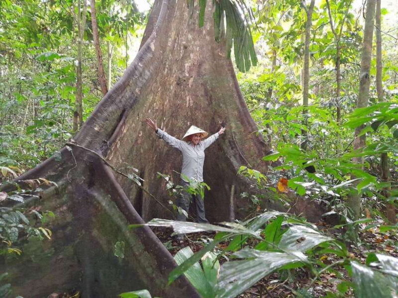 From Ninh Binh: Cuc Phuong National Park Trekking Day Tour - Realistic Expectations Based on Reviews