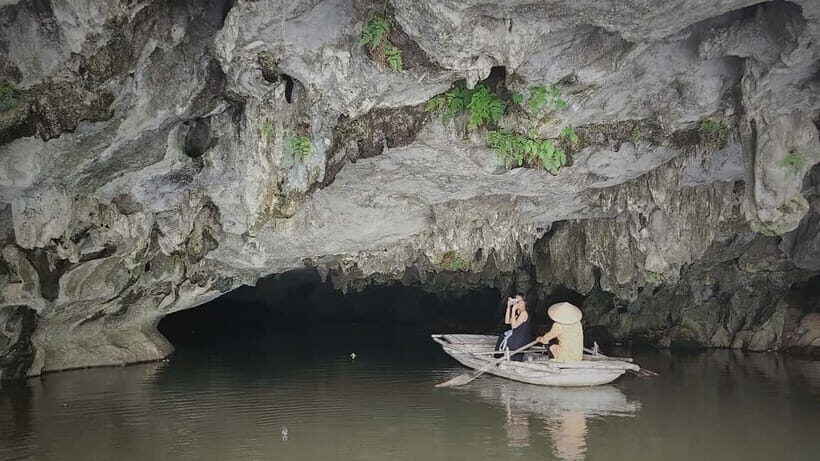 From Ninh Binh: Cuc Phuong - Van Long Reserve - Small Groups - Discovering Cuc Phuong National Park