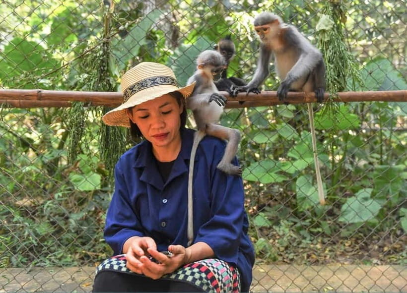 From Ninh Binh: Cuc Phuong - Van Long Small Group Tours - Key Points