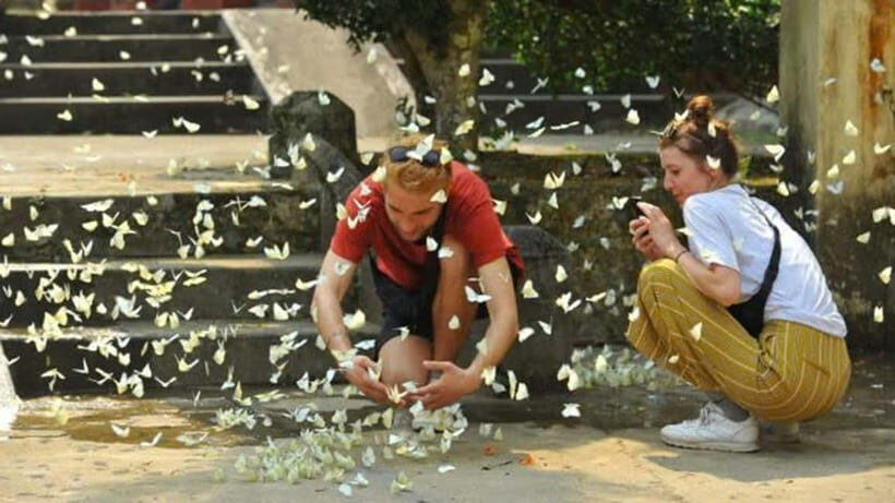 From Ninh Binh: Cuc Phuong - Van Long Small Group Tours - Lunch and Rest