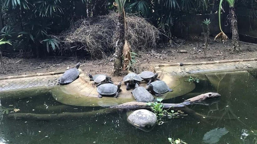 From Ninh Binh: Cuc Phuong - Van Long Small Group Tours - Optional: Van Long Boat Ride