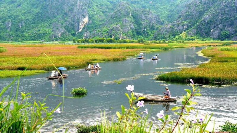 From Ninh Binh: Cuc Phuong - Van Long Small Group Tours - Authentic Experiences and Real-World Feedback